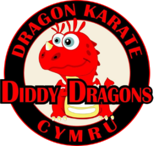 Diddy Dragons - Dragon Karate Cymru